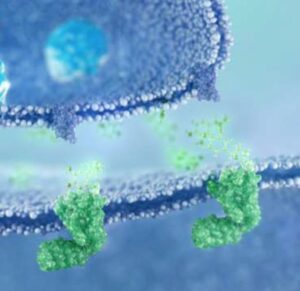 Apnimed: Breathing New Life Into OSA & More